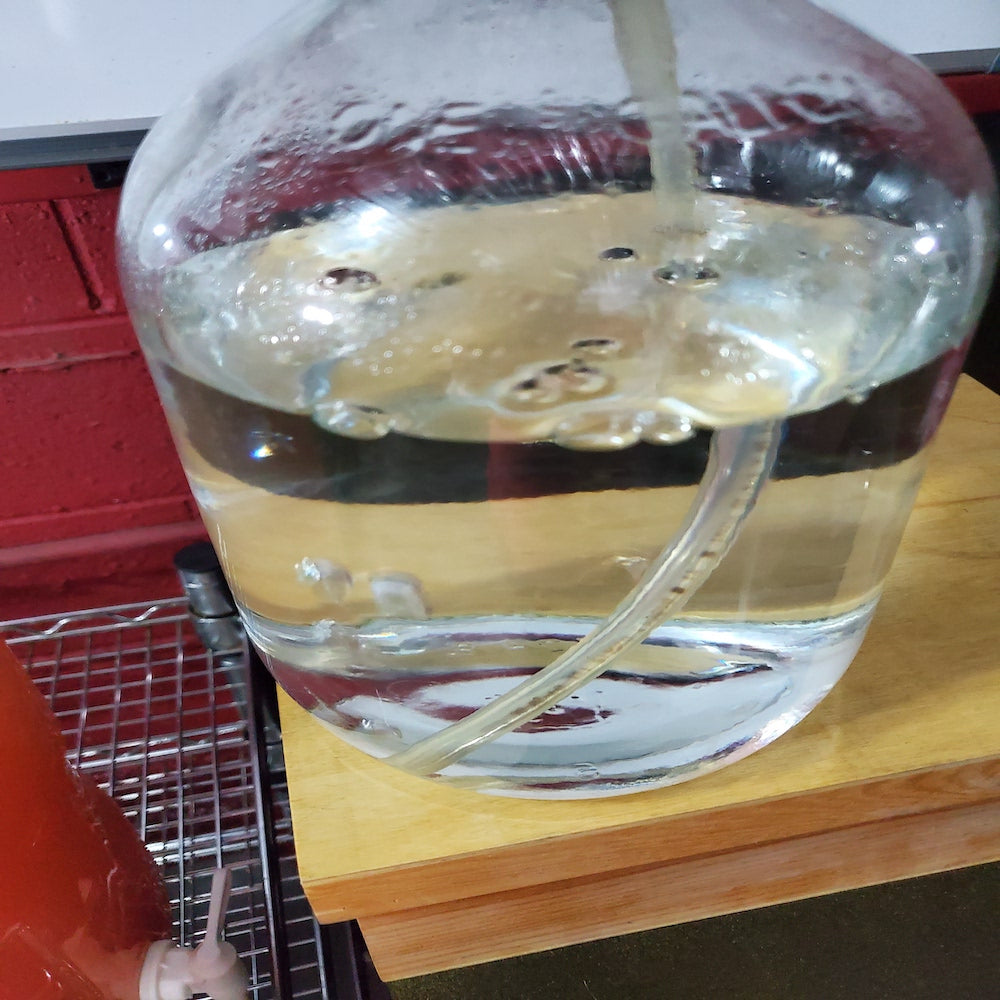 Pitching Yeast – MiniBrew