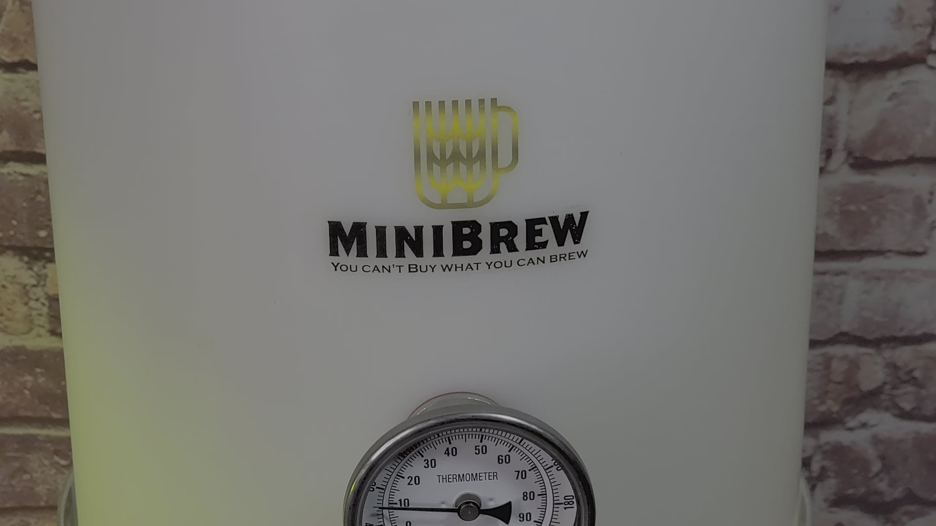 8 Gallon Minibrew® Conical Fermenter – MiniBrew